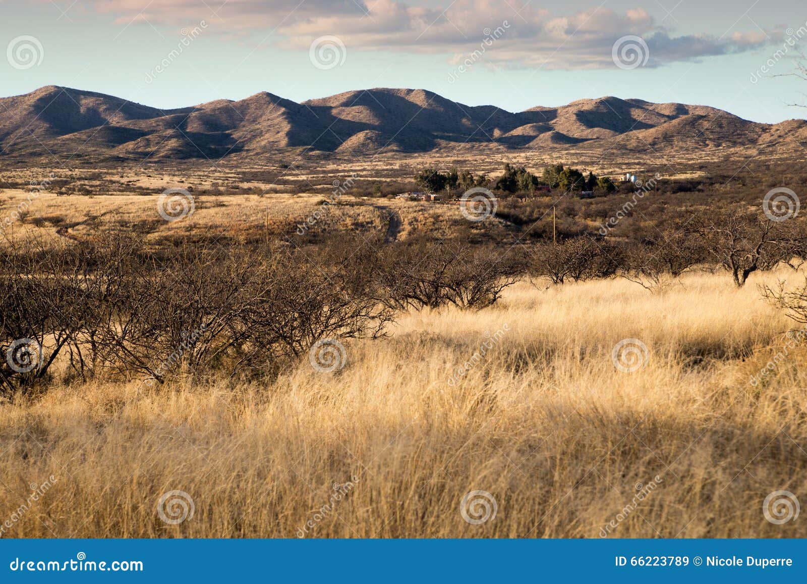Mountains of Sasabe, AZ stock image. Image of dirt, desert - 66223789