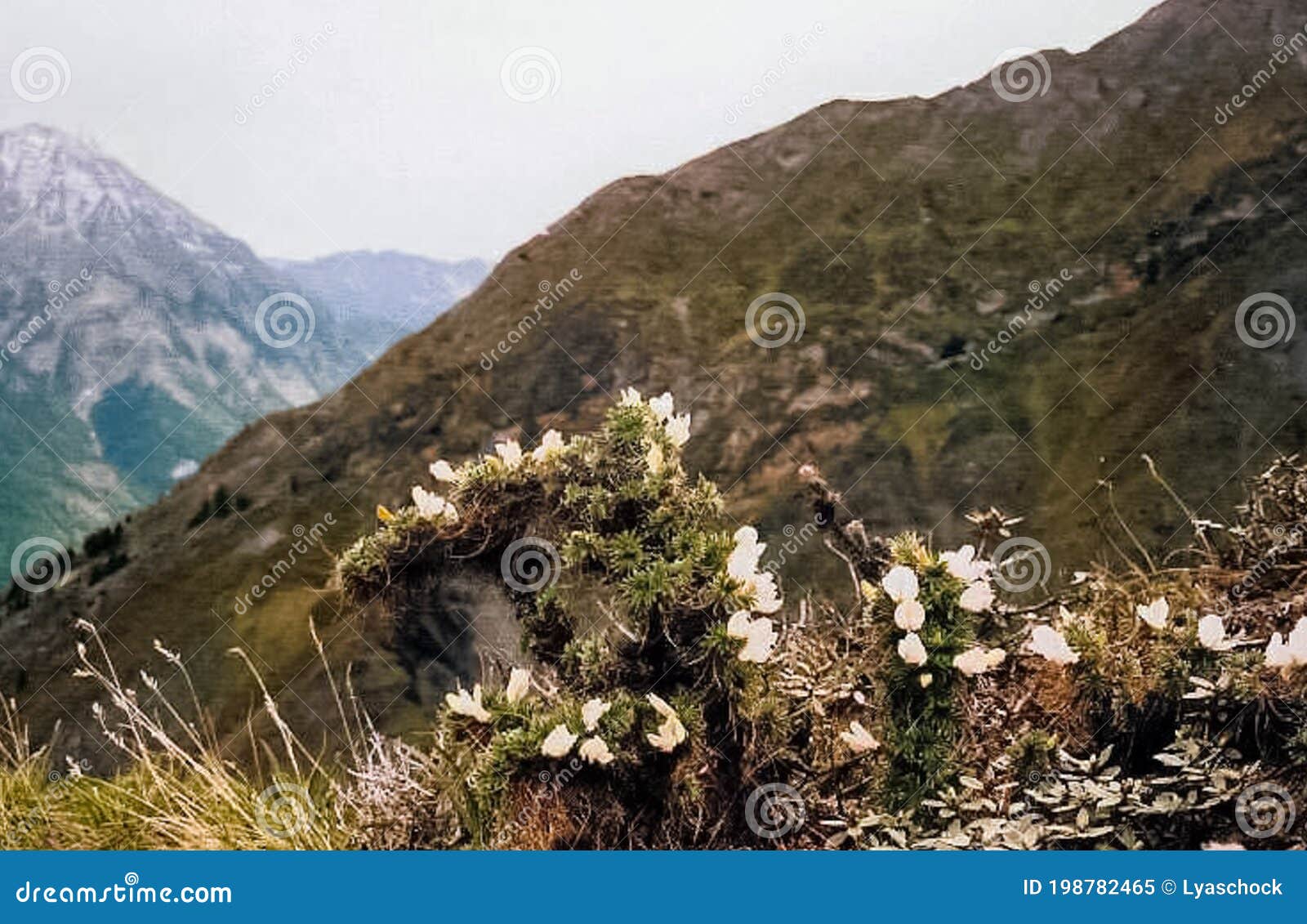 Mountains of the Sayans. the Nature of the Mountains is Sayan Stock ...