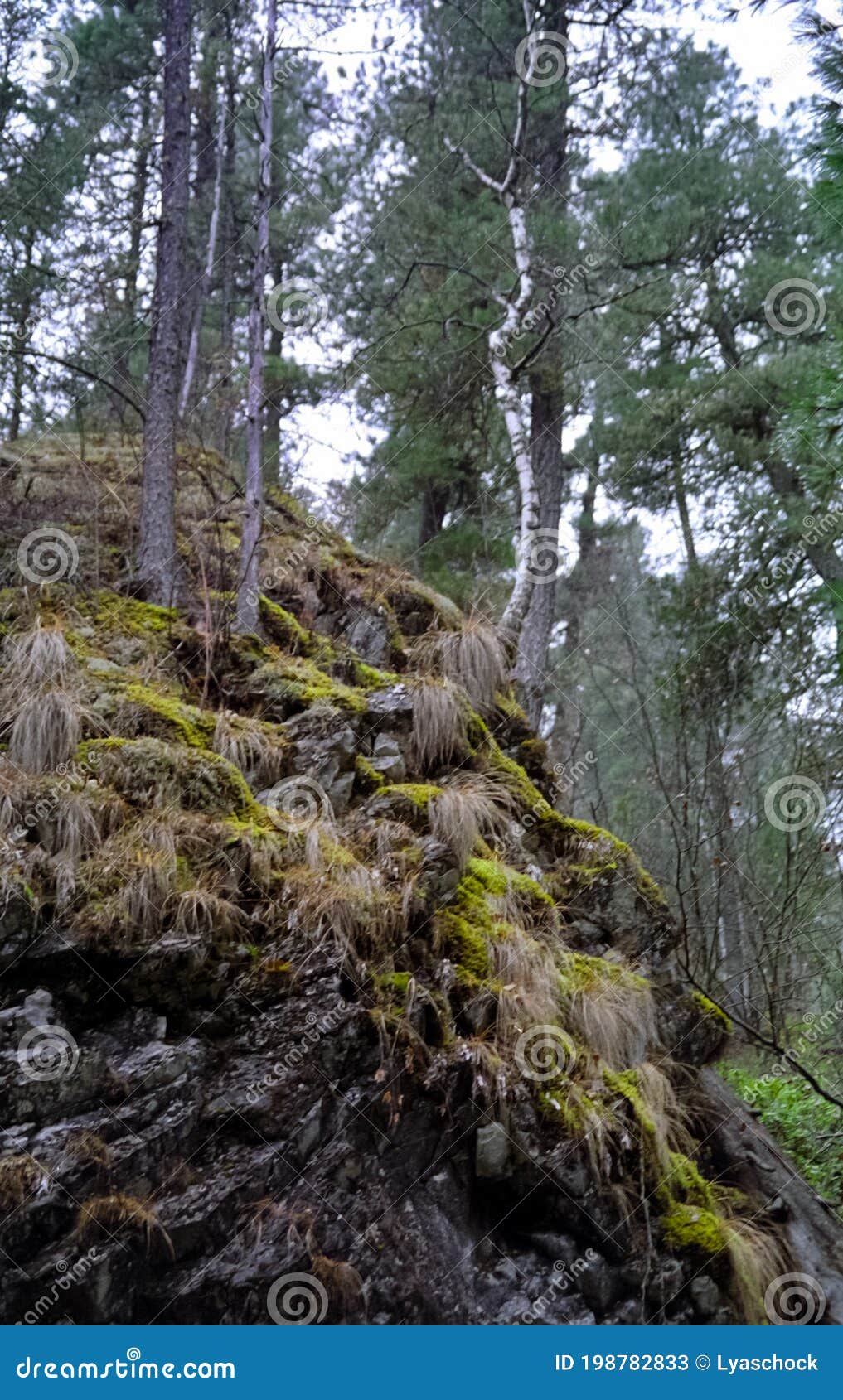 Mountains of the Sayans. the Nature of the Mountains is Sayan Stock ...
