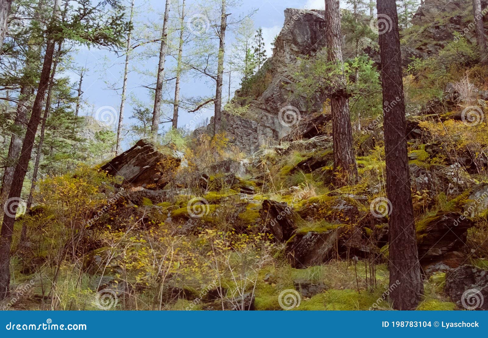 Mountains of the Sayans. the Nature of the Mountains is Sayan Stock ...