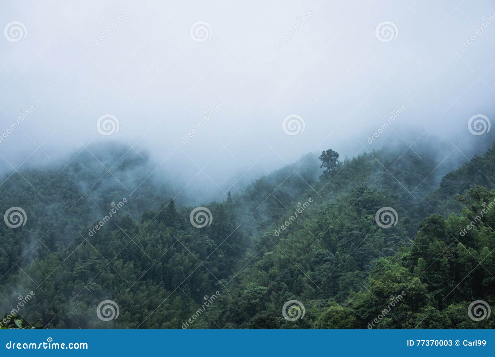 The Mountains Scenery in the Mist Stock Image - Image of nature ...