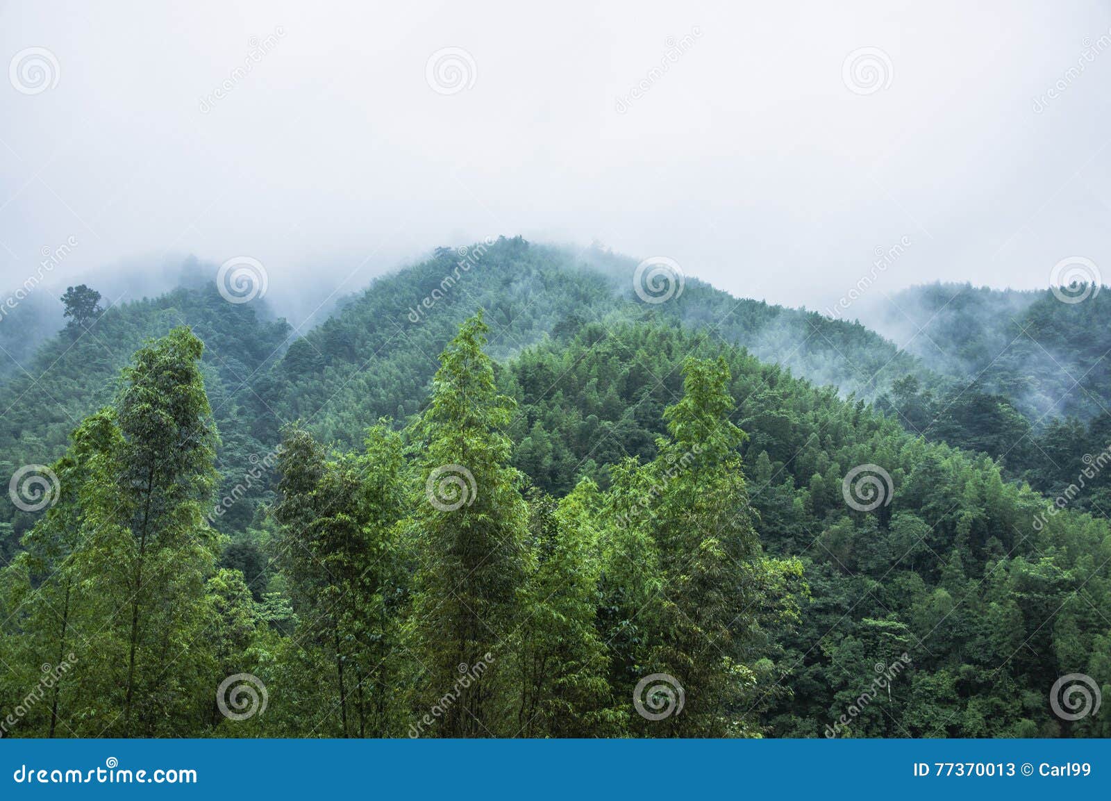The Mountains Scenery in the Mist Stock Image - Image of mist ...
