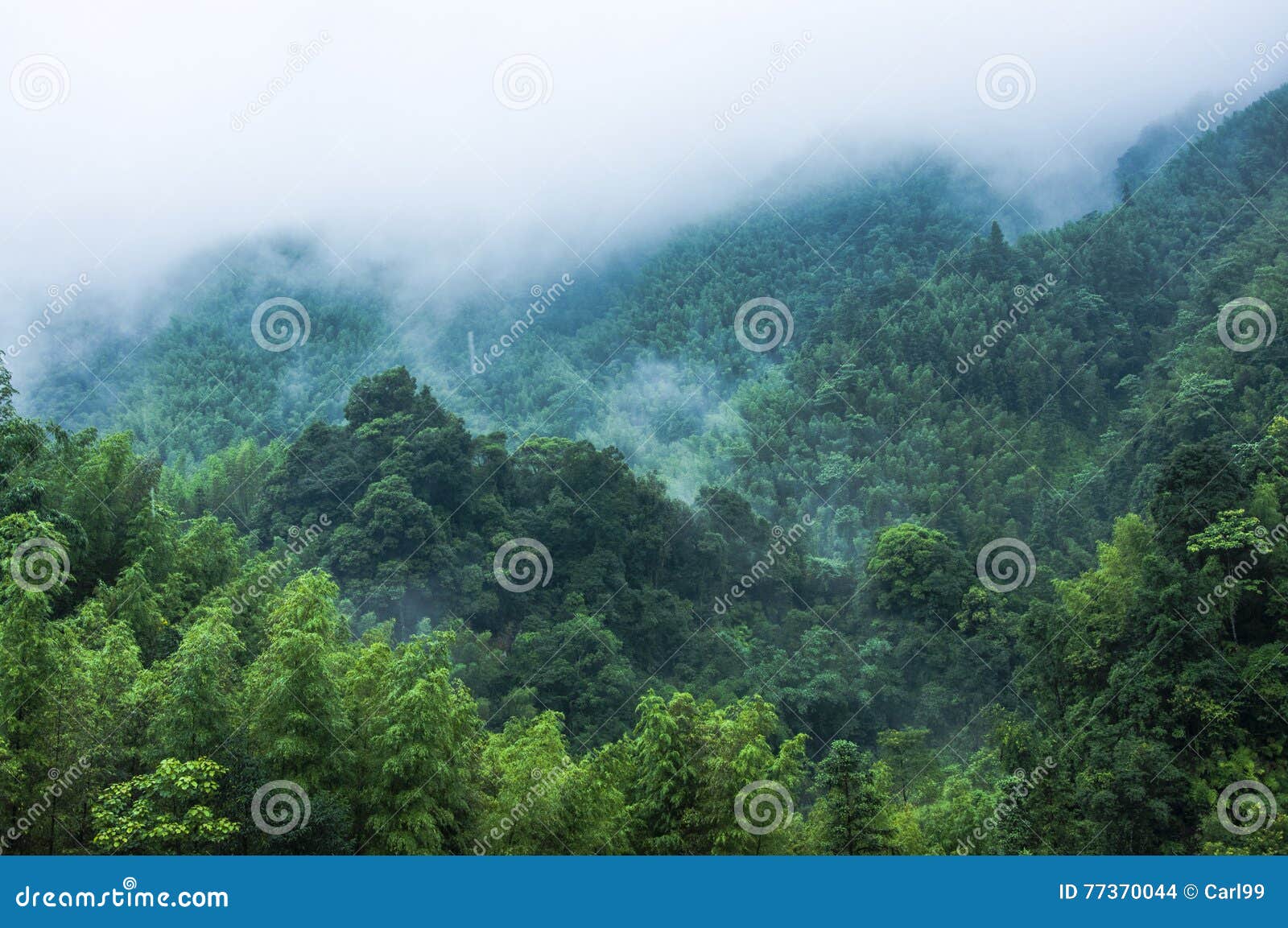The Mountains Scenery in the Mist Stock Photo - Image of beauty, calm ...