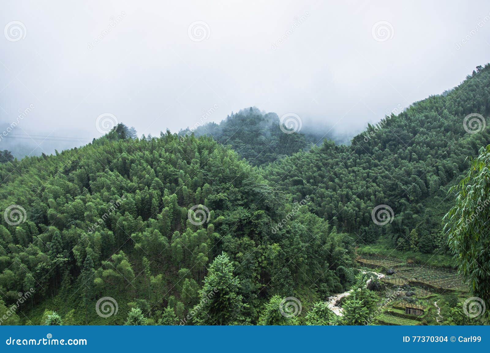 The Mountains Scenery in the Mist Stock Photo - Image of misty, cloud ...