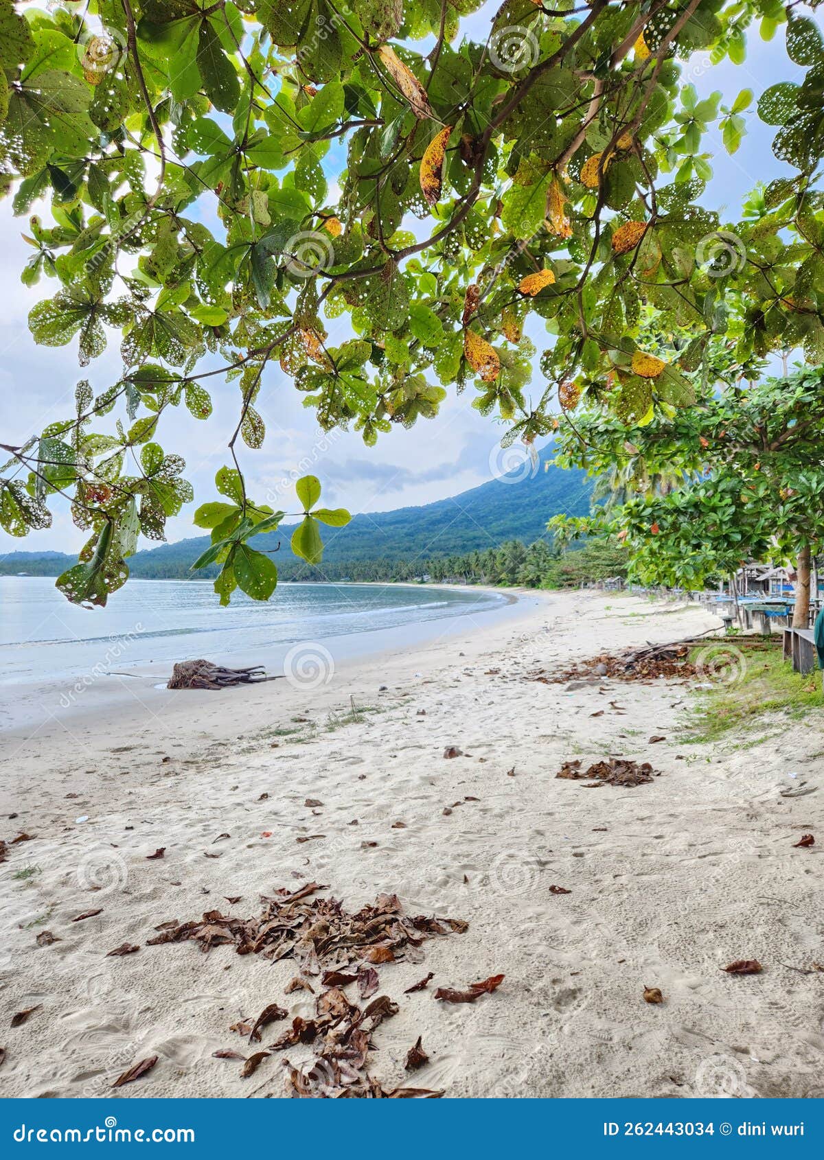 Mountains, Sea and Leaves in Harmony Stock Photo - Image of harmony ...