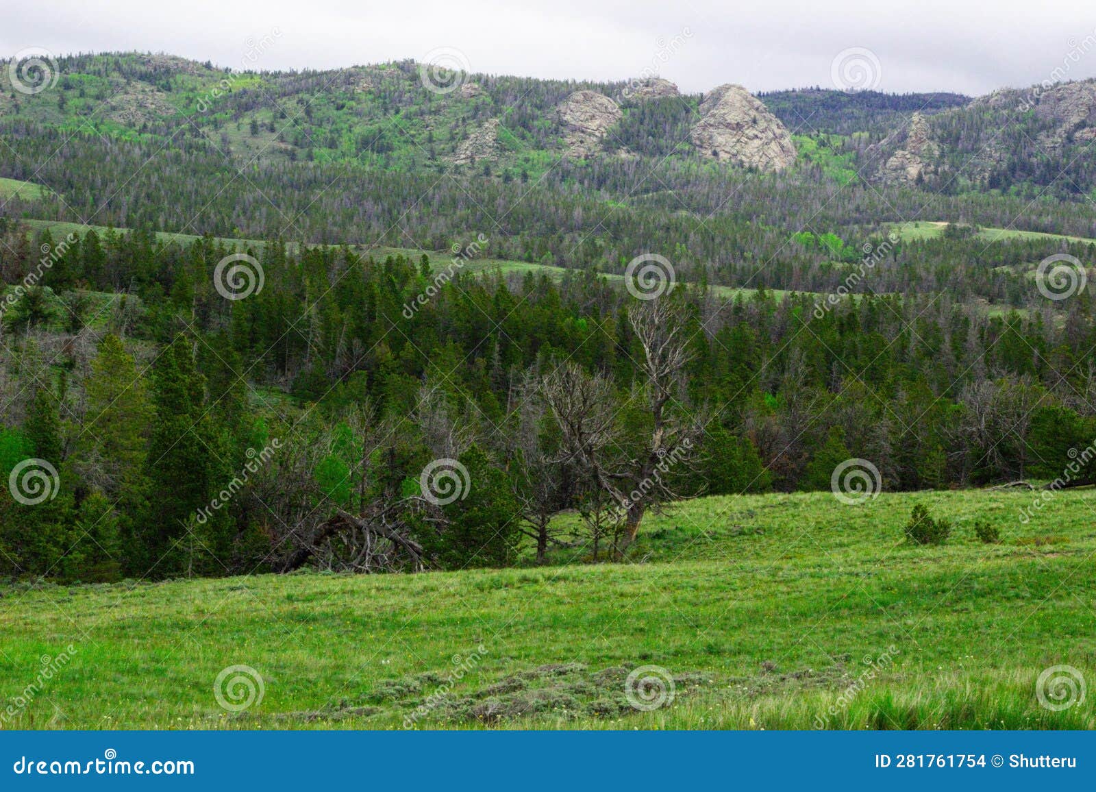 Mountains Set Back Behind Green Rolling Hill Stock Photo - Image of ...