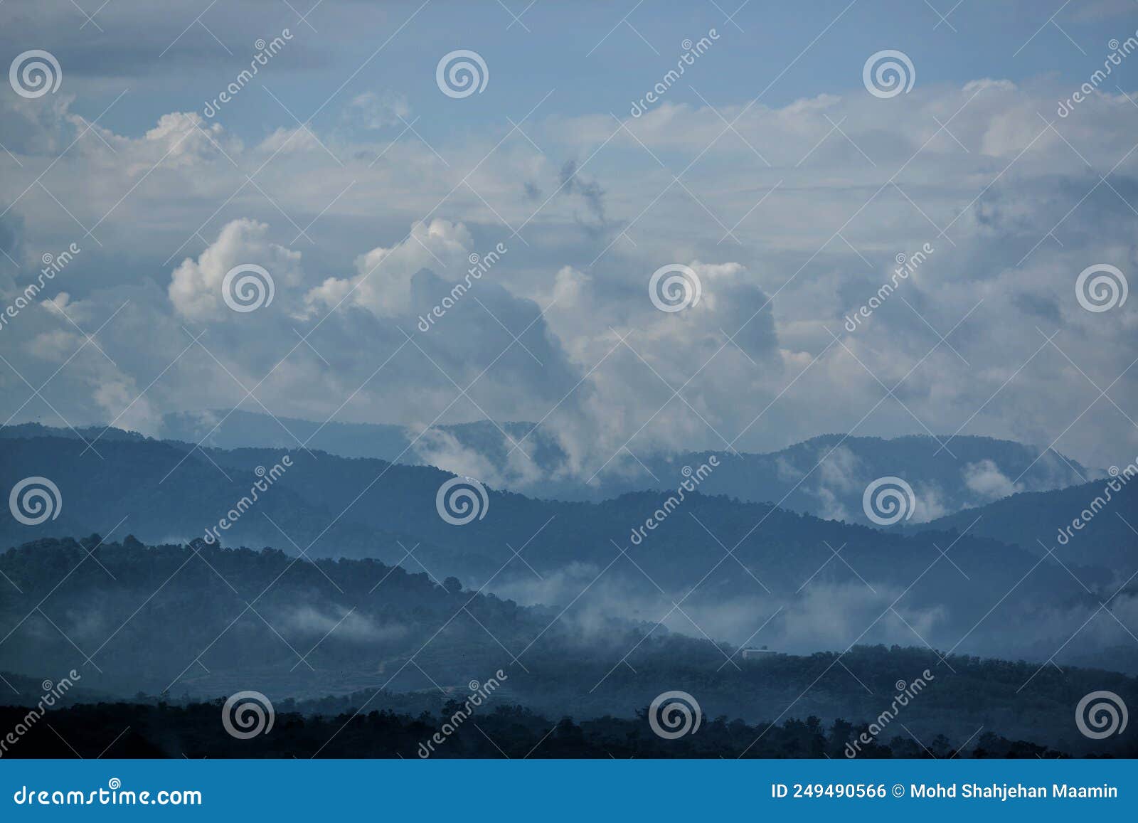 Objects and nature stock photo. Image of nature, background - 249490566