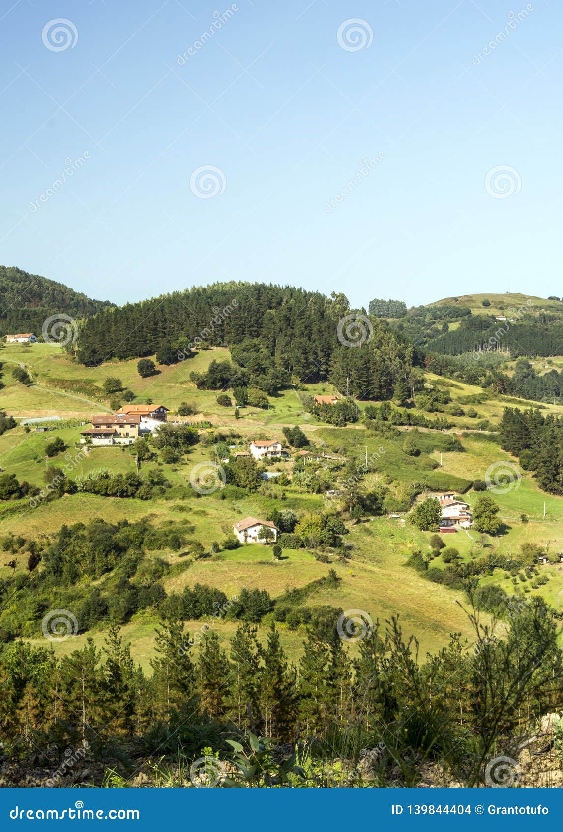 Mountains in the Basque Country Stock Photo - Image of blossom, country ...