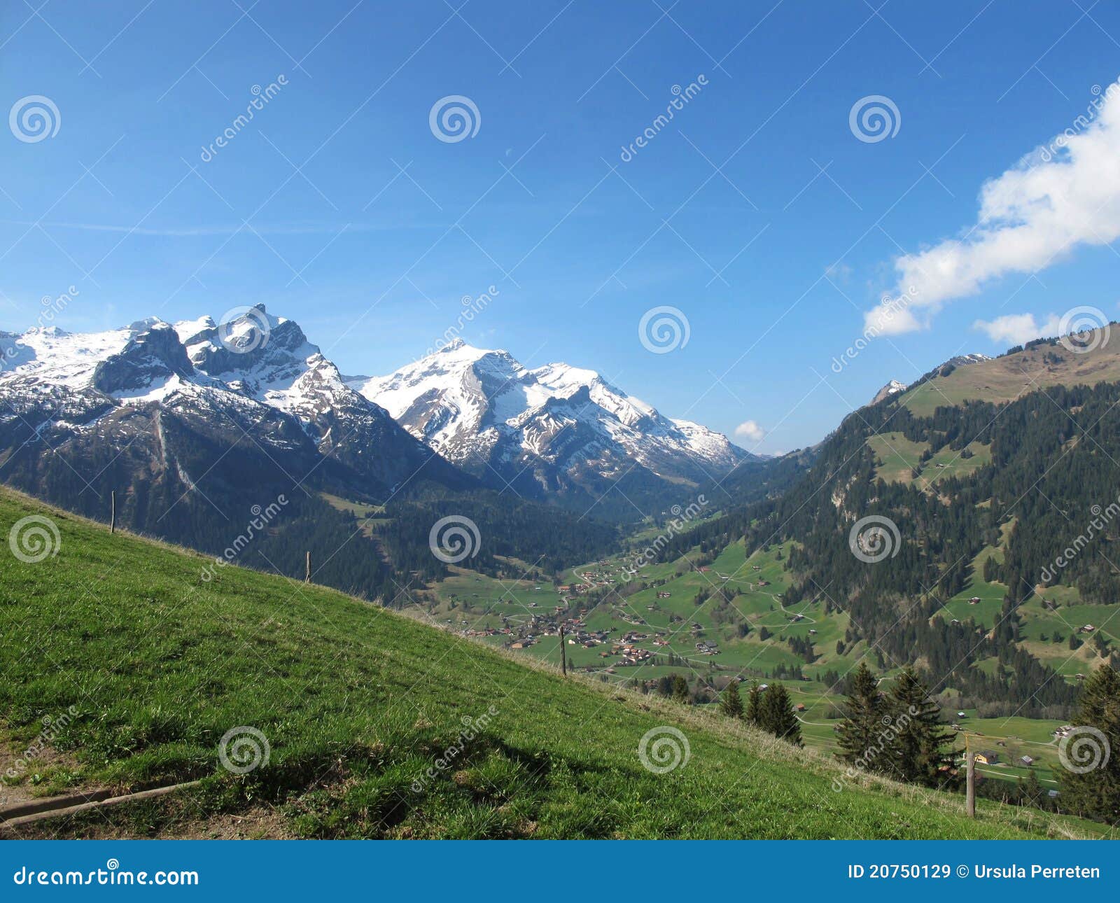 Mountains in the spring stock image. Image of bern, spring - 20750129