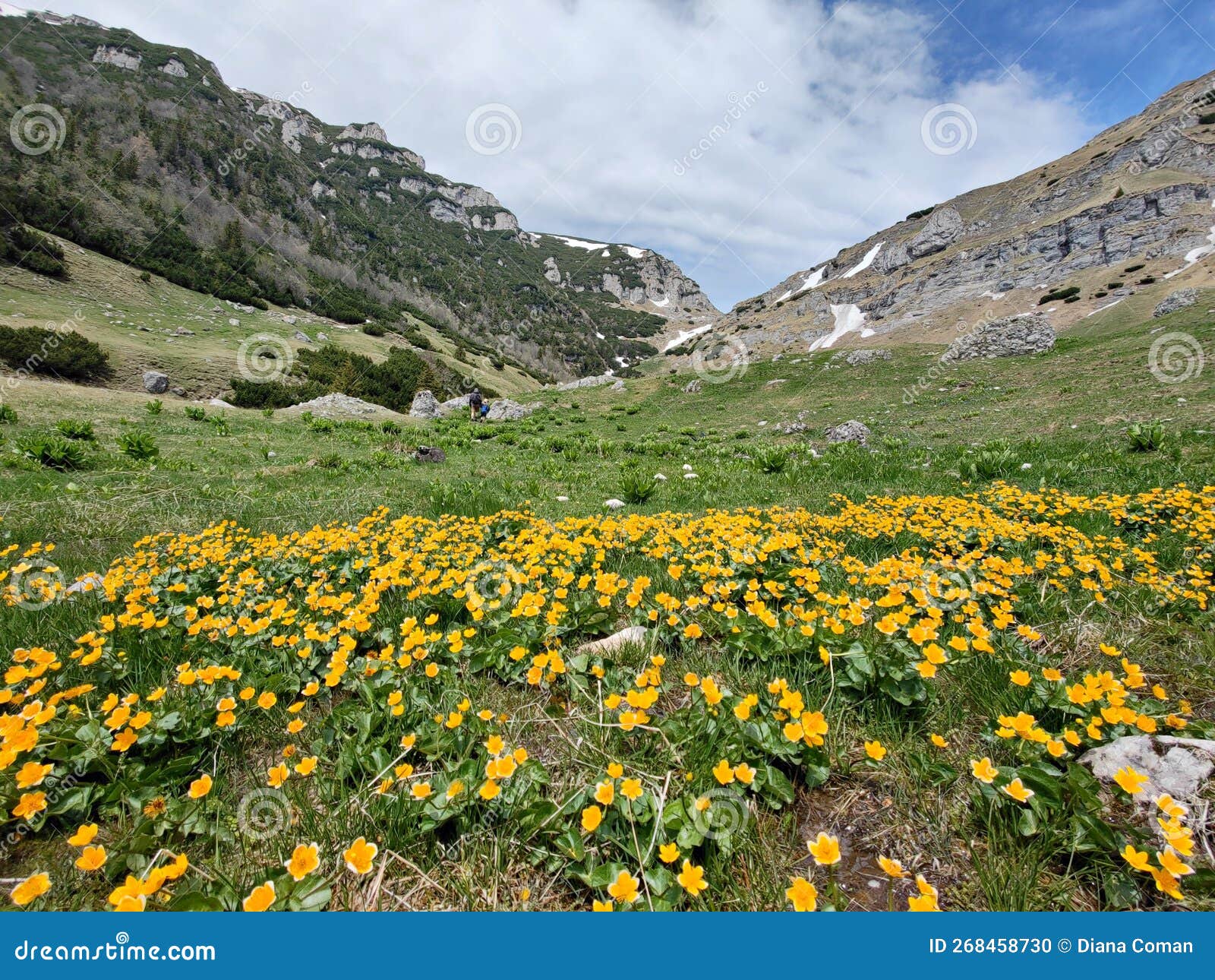 Mountains during spring stock photo. Image of clouds - 268458730