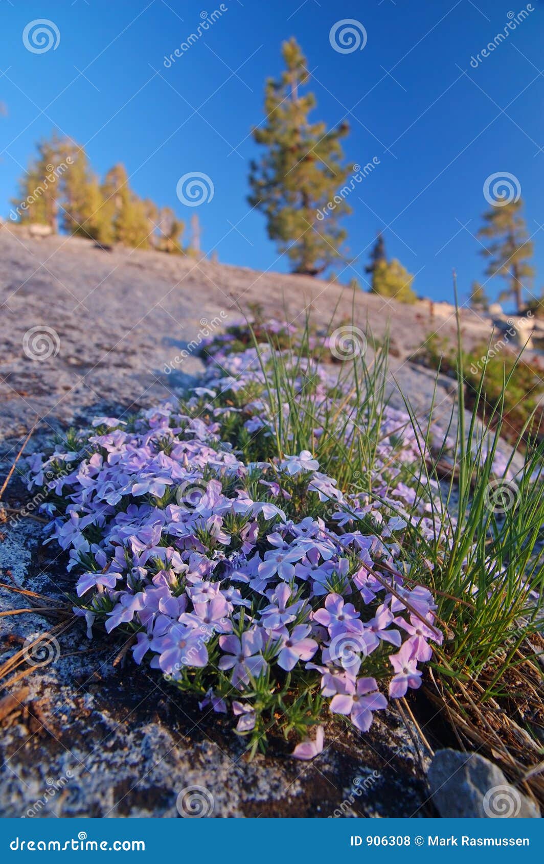 Mountains in springtime stock photo. Image of tahoe, backpacking - 906308