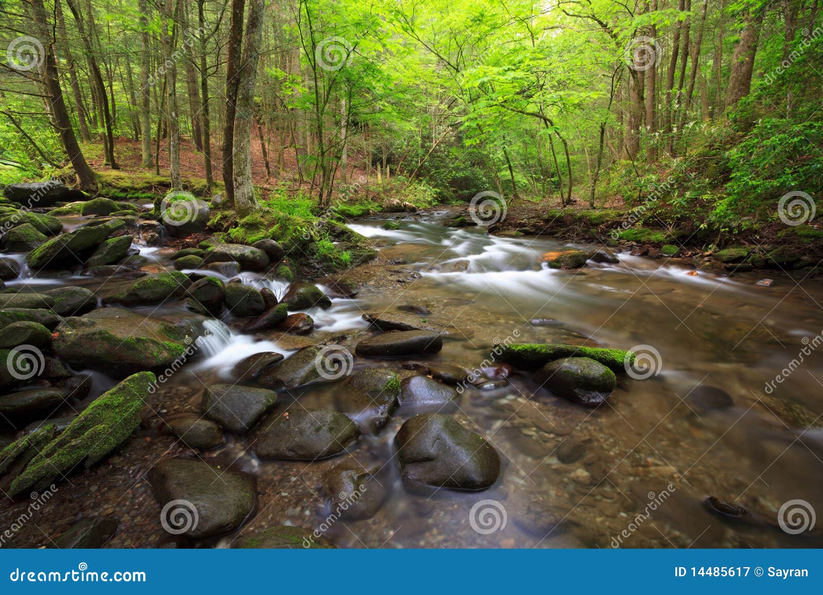 Mountains Stream in Spring Color Stock Image - Image of flow, gsmnp ...
