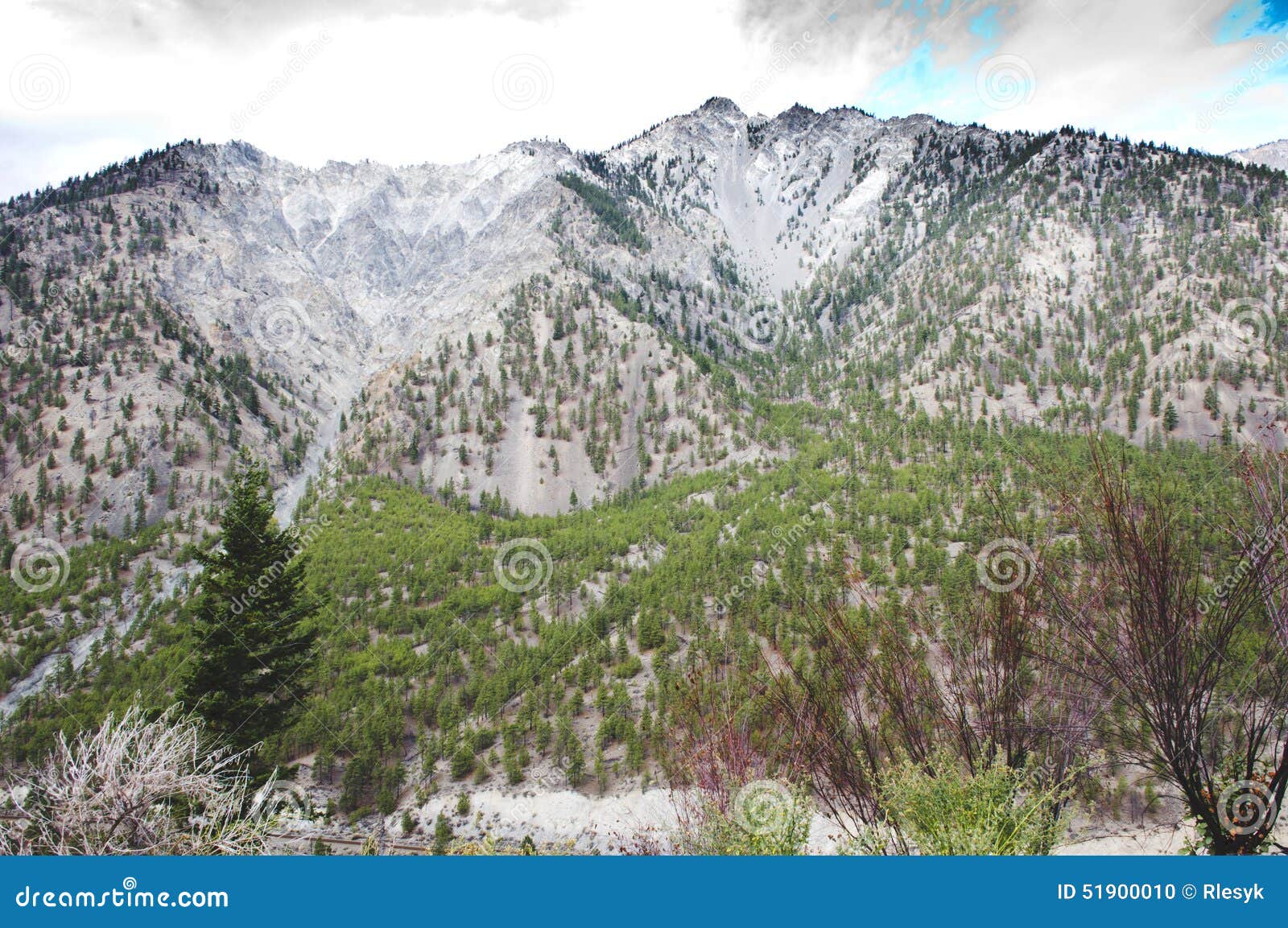 Mountains and talus slopes stock photo. Image of forest - 51900010