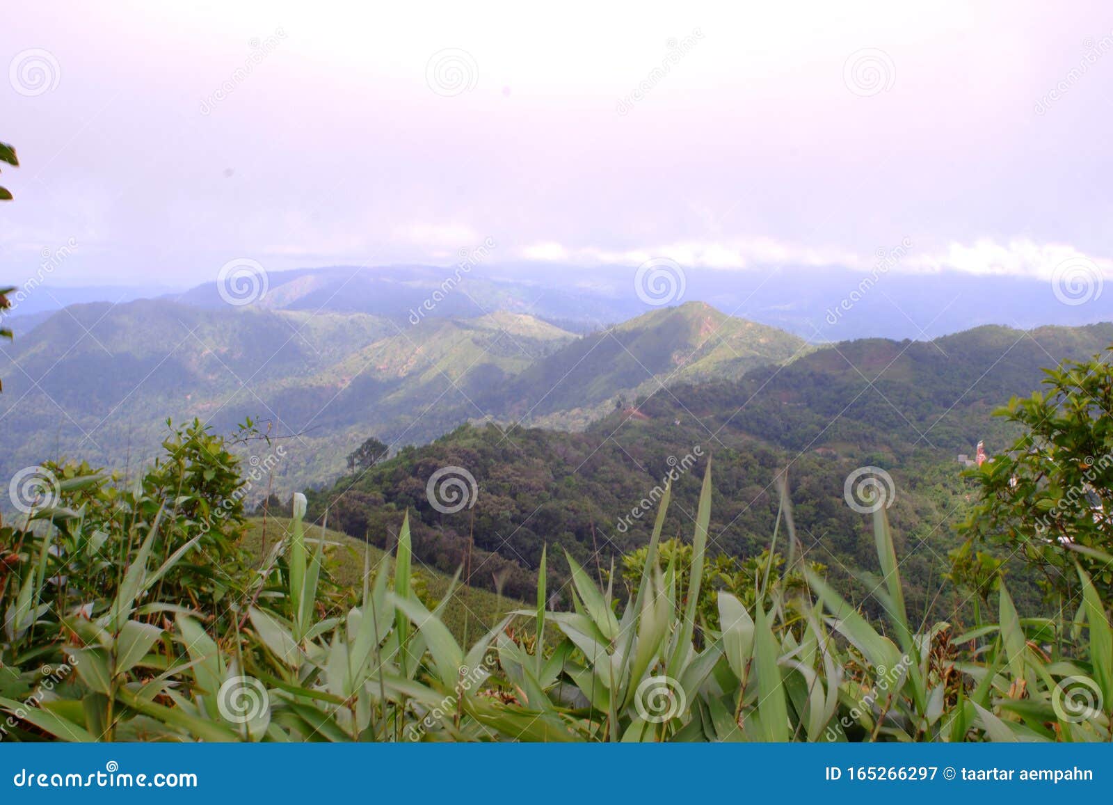 Mountains on the Thai-Burma Border Stock Image - Image of grass ...