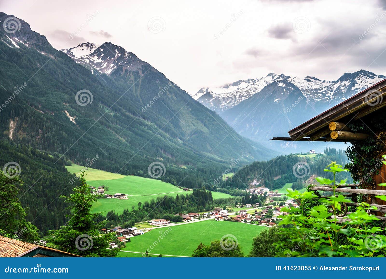 Mountains of Tirol, Austria, at Summer Stock Image - Image of forest ...