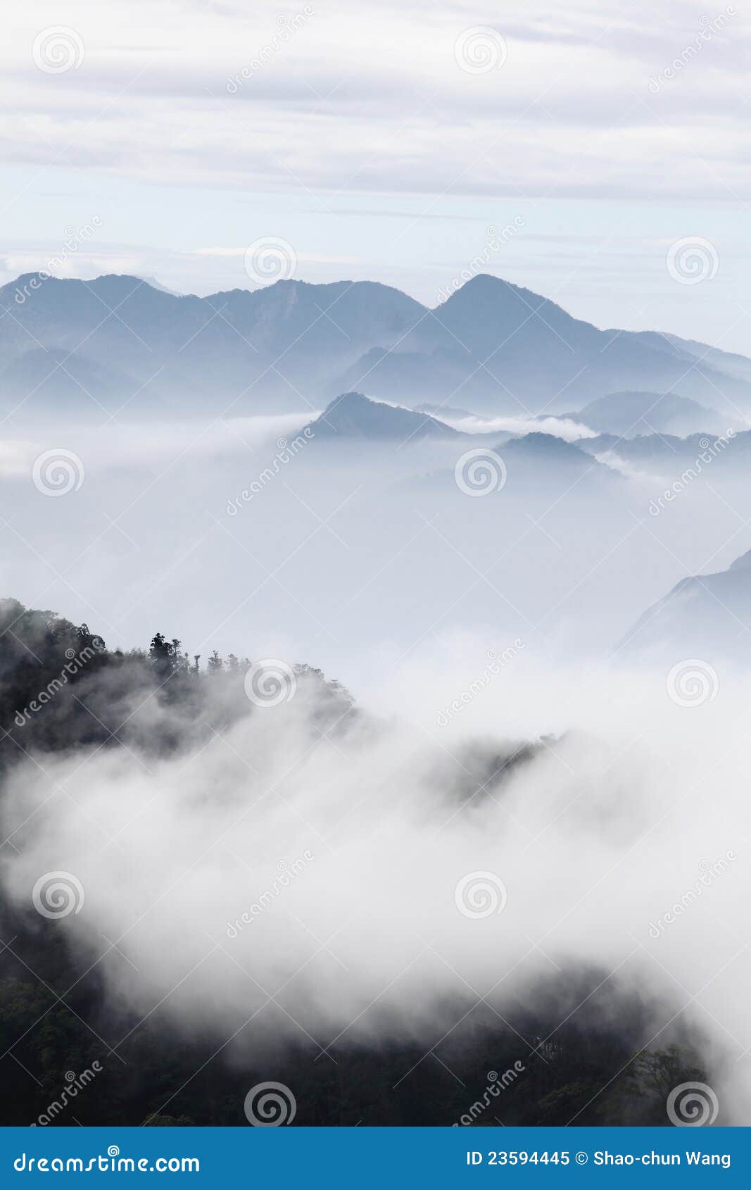 Mountains with Trees and Fog in Monochrome Color Stock Image - Image of ...