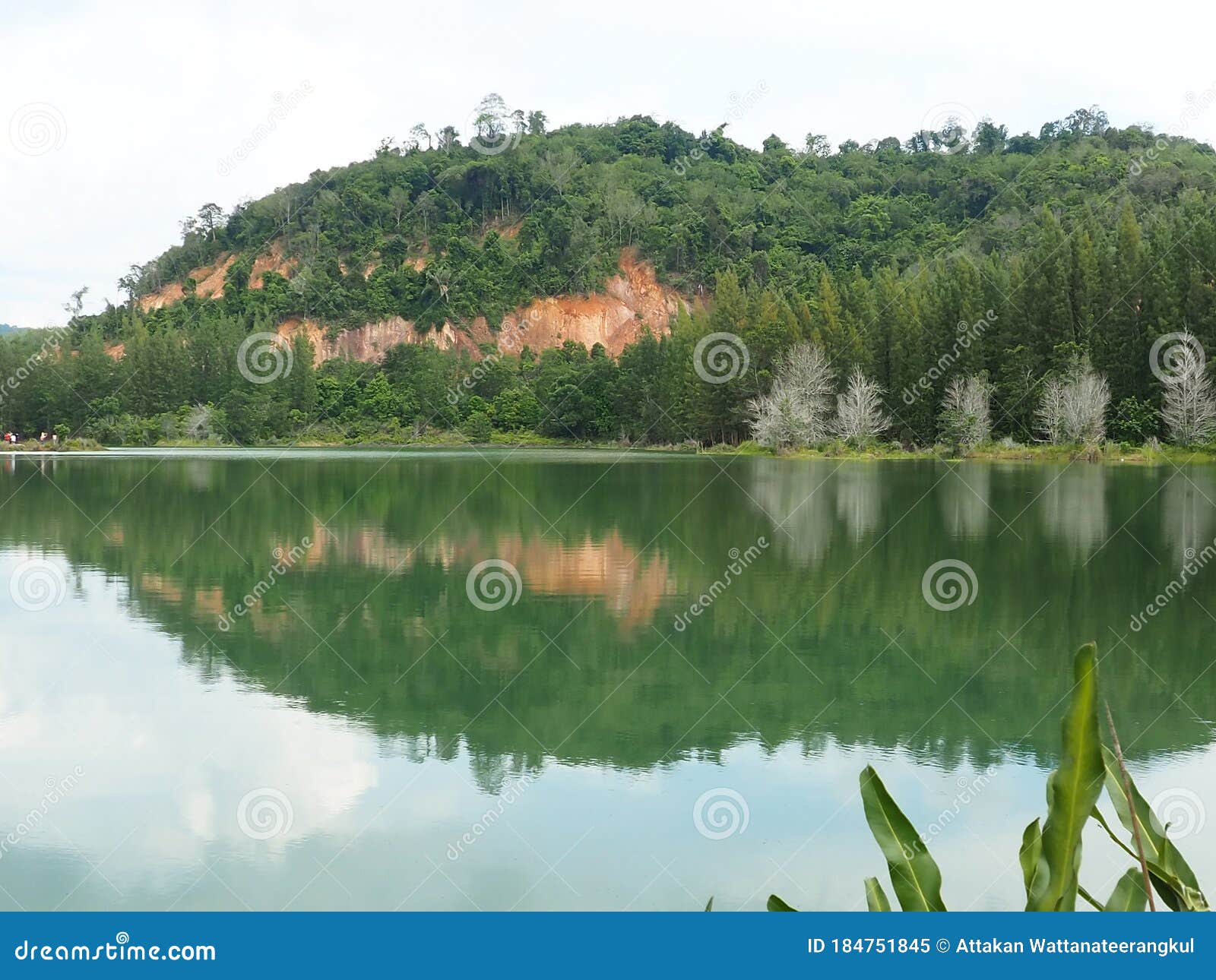 Mountains, trees and river stock image. Image of pond - 184751845
