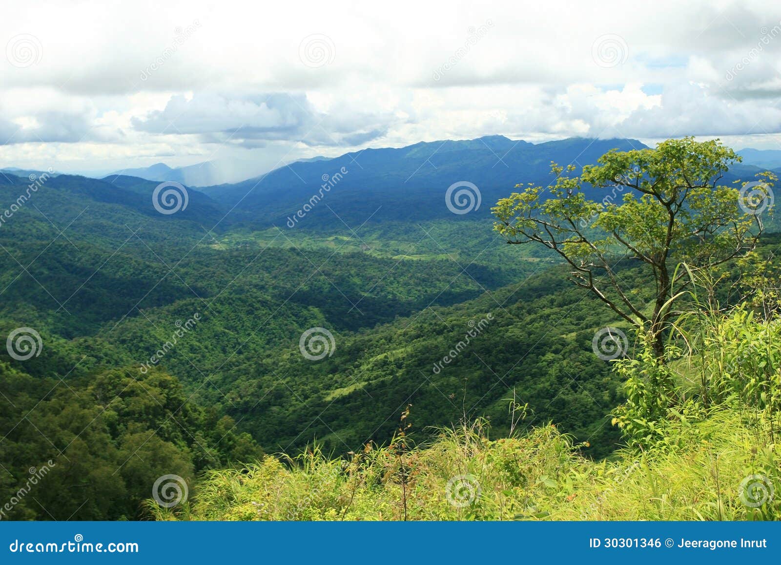 Mountains and Tropical Rain Forest Stock Photo - Image of tree, park ...