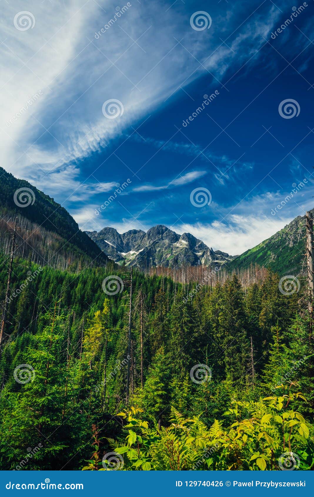Mountains View from the Green Valley Stock Photo - Image of natural ...