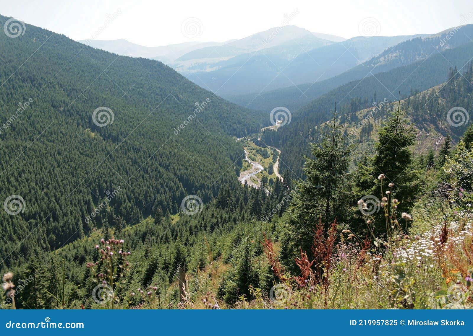 Mountains of Western Romania, 2007 Stock Image - Image of space, road ...