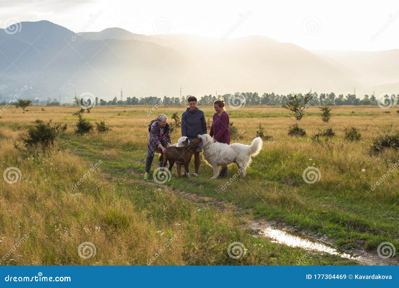 In Mountains Women Walk with Dogs at Sunset Stock Image - Image of ...
