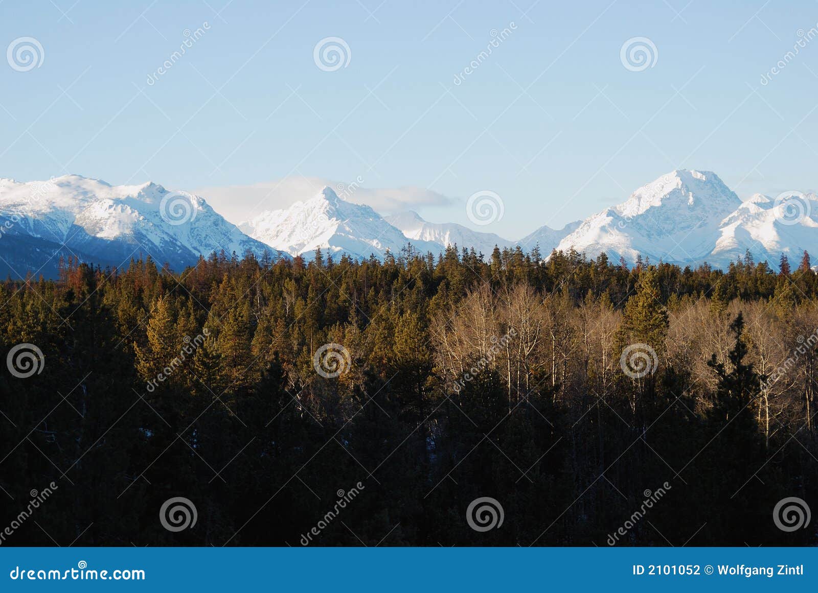 Mountains and Woods stock photo. Image of mountains, ridge - 2101052