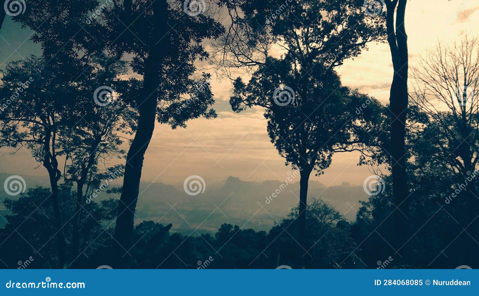 Mountainscape with Tree in the Forest - Vintage Style Stock Image ...
