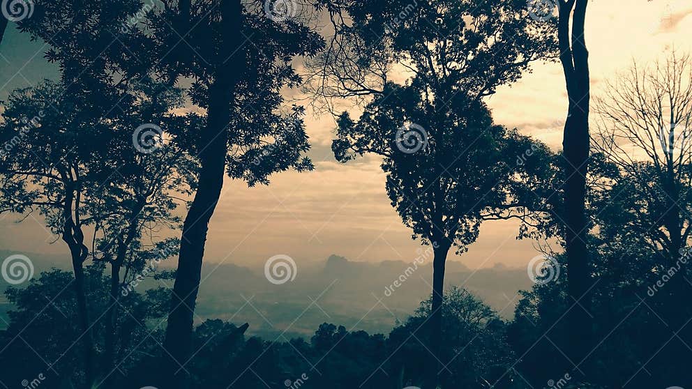 Mountainscape with Tree in the Forest - Vintage Style Stock Image ...