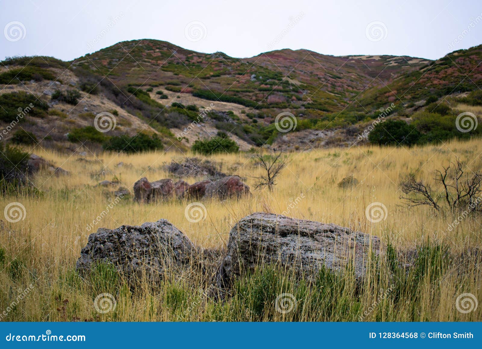 Draper Utah Mountainside with Autumn Colors in the Foliage Stock Photo ...