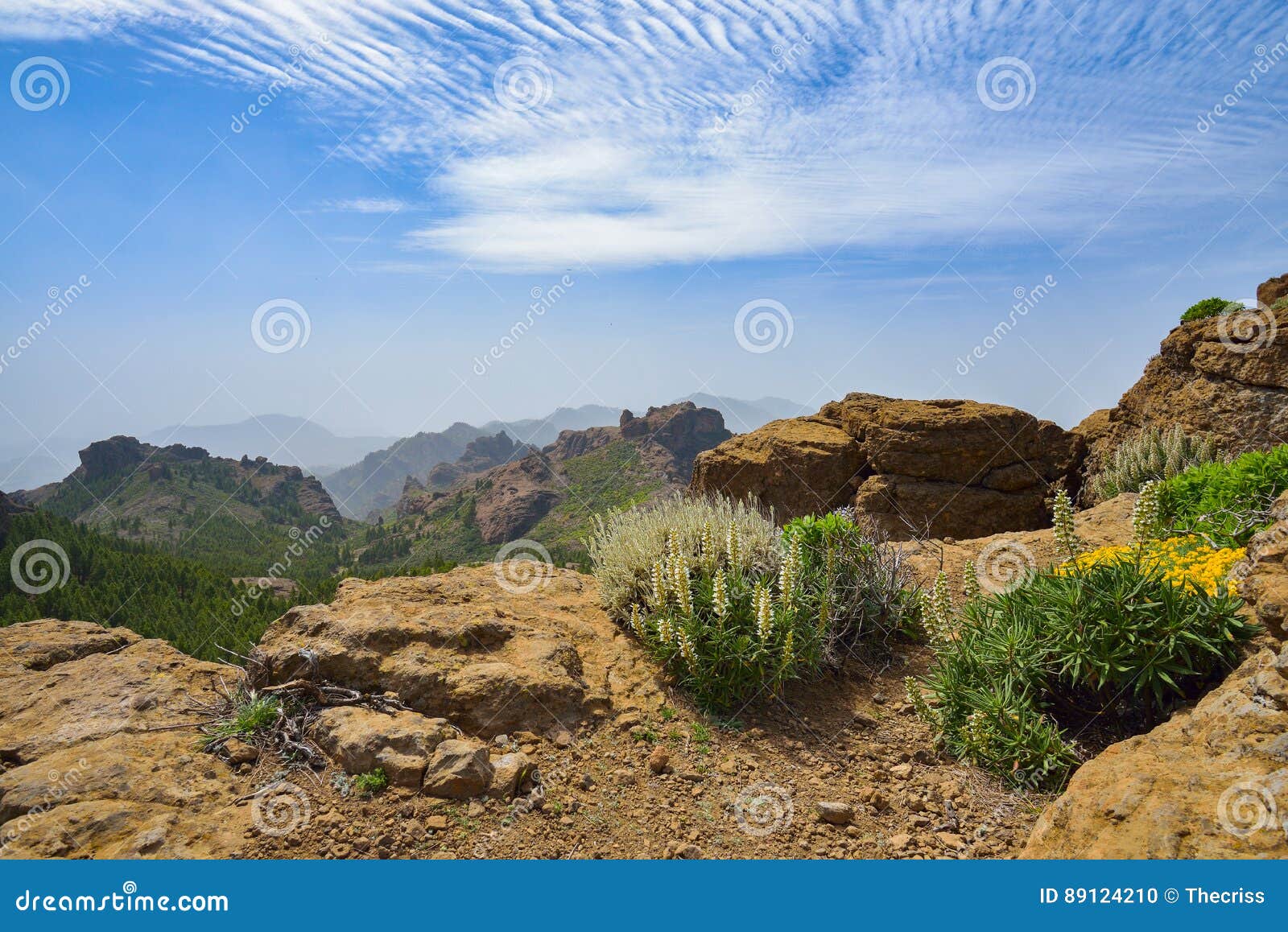 Mountainside Landscape on Gran Canaria Island, Spain Stock Photo ...