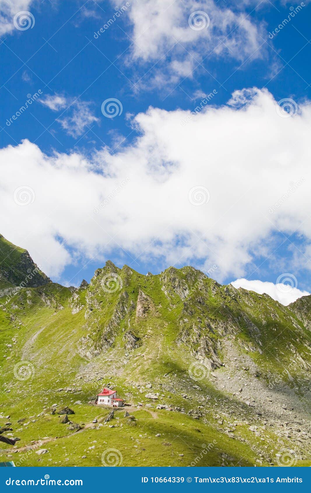 Mountan stock image. Image of peace, still, mont, summe - 10664339