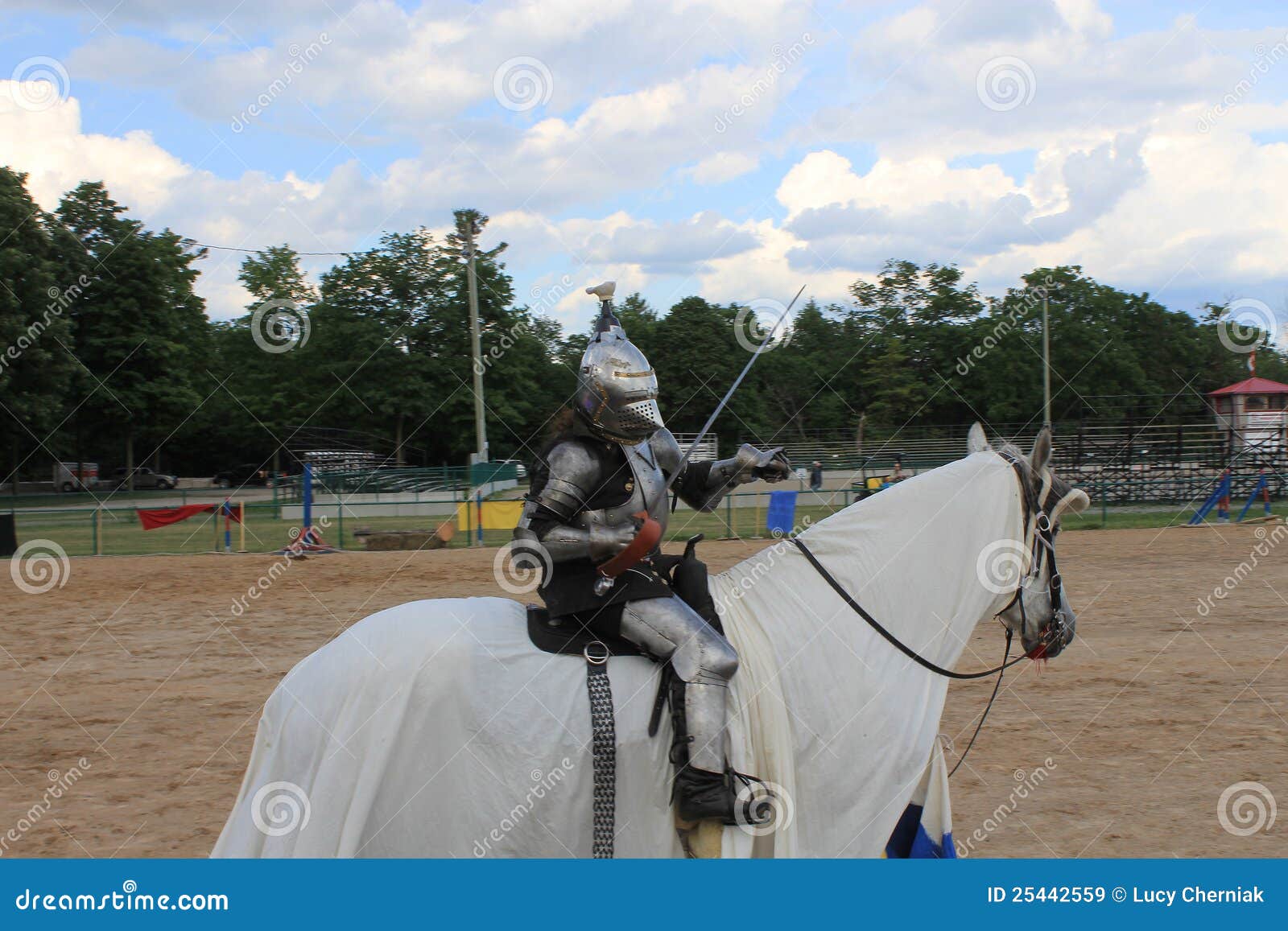 The Mounted Knight editorial stock image. Image of fence - 25442559