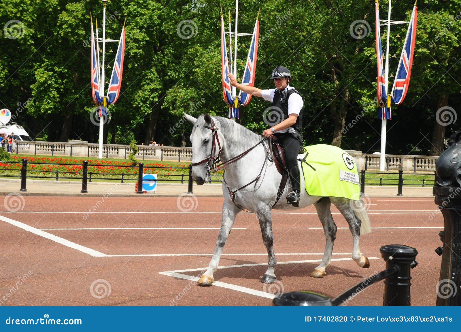 Mounted Police Officer editorial image. Image of changing - 17402820
