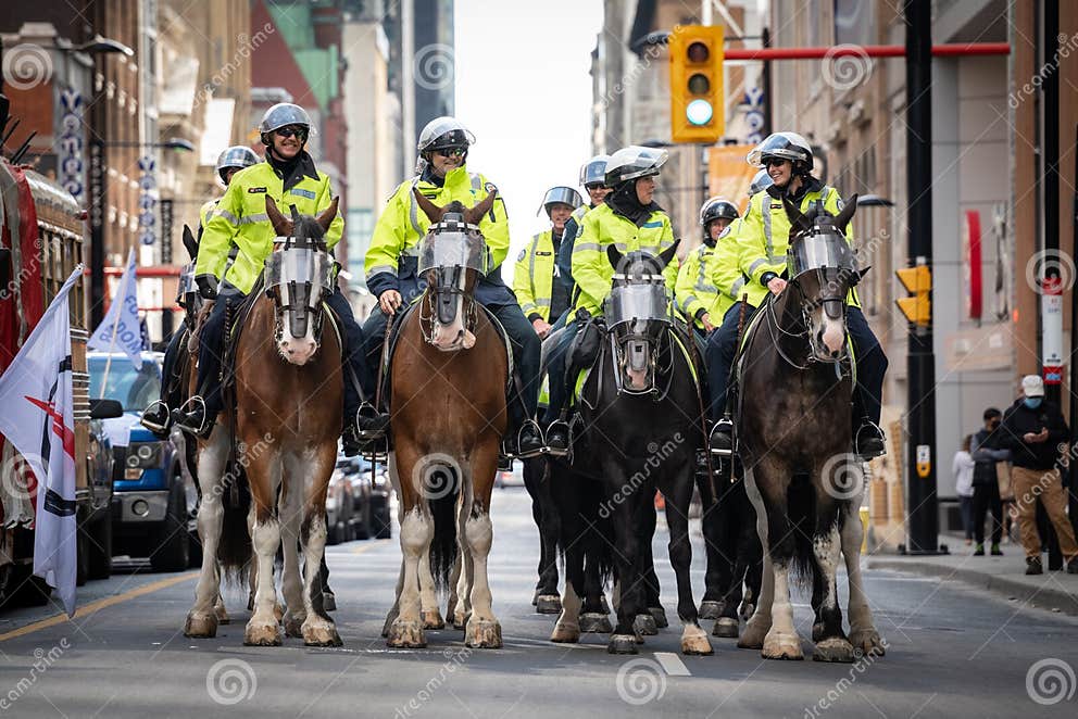 Mounted Police Officers in Toronto, Ontario Editorial Image - Image of ... Mounted Police Officers in Toronto, Ontario Editorial Image - Image of ...