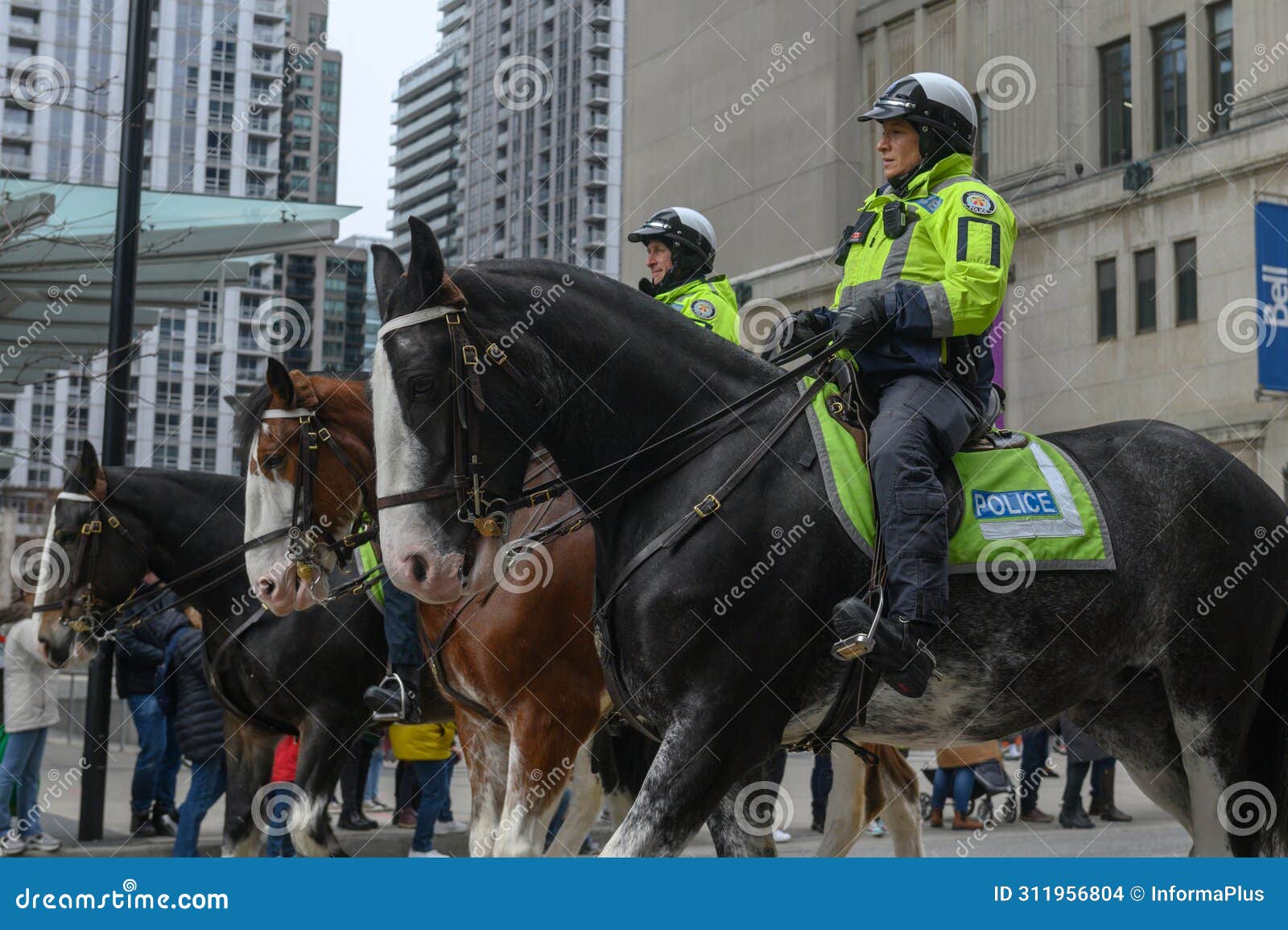 Mounted Police Patrol in Toronto Editorial Stock Image - Image of ... Mounted Police Patrol in Toronto Editorial Stock Image - Image of ...
