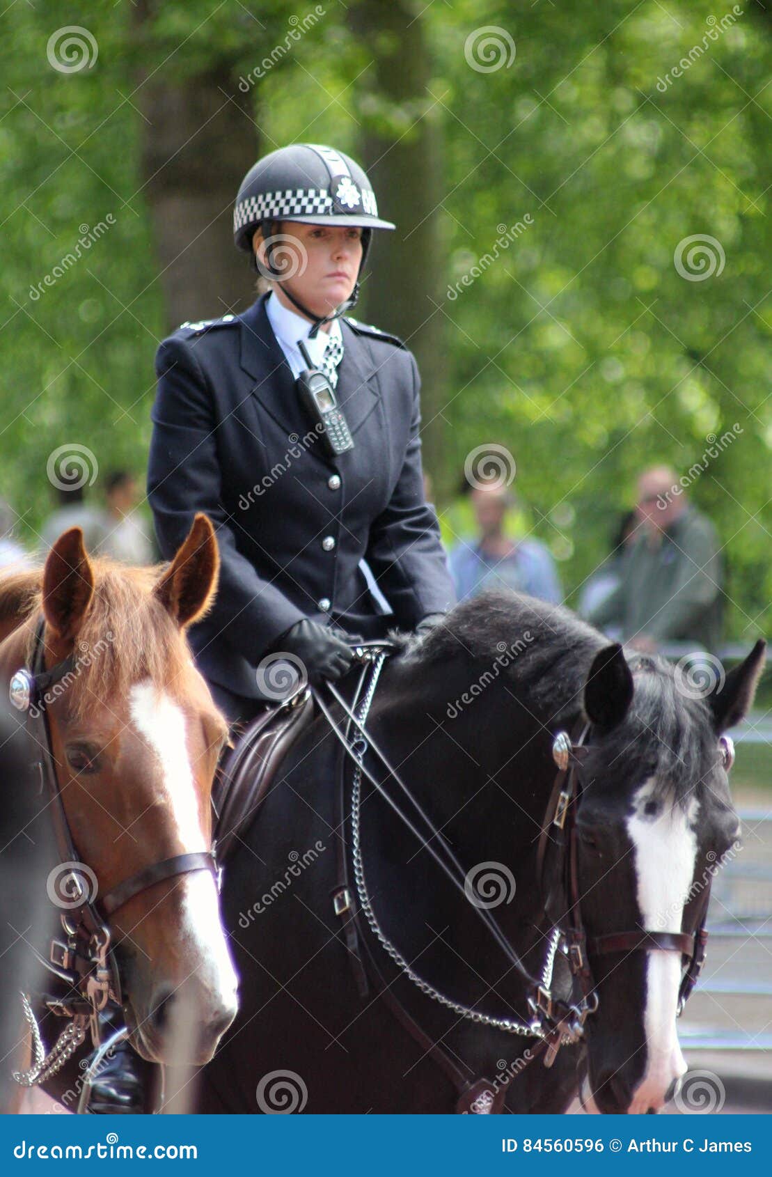 Mounted police editorial photo. Image of police, trooping - 84560596