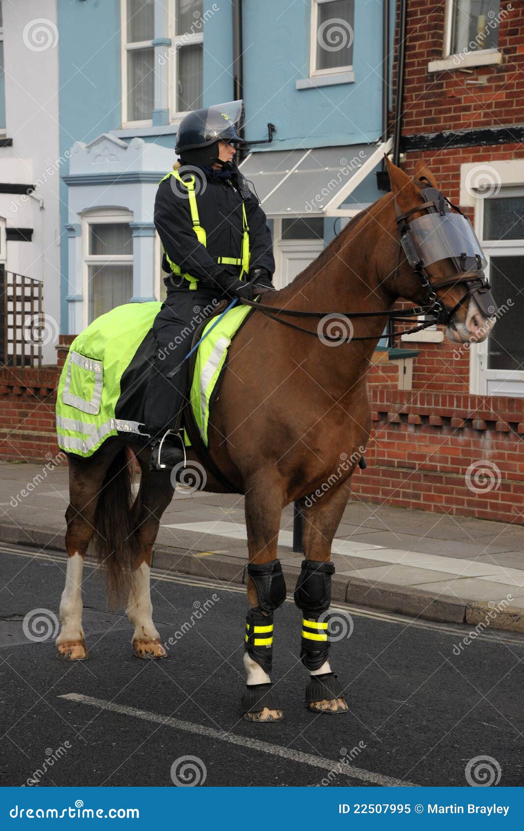 Mounted riot police editorial image. Image of criminal - 22507995