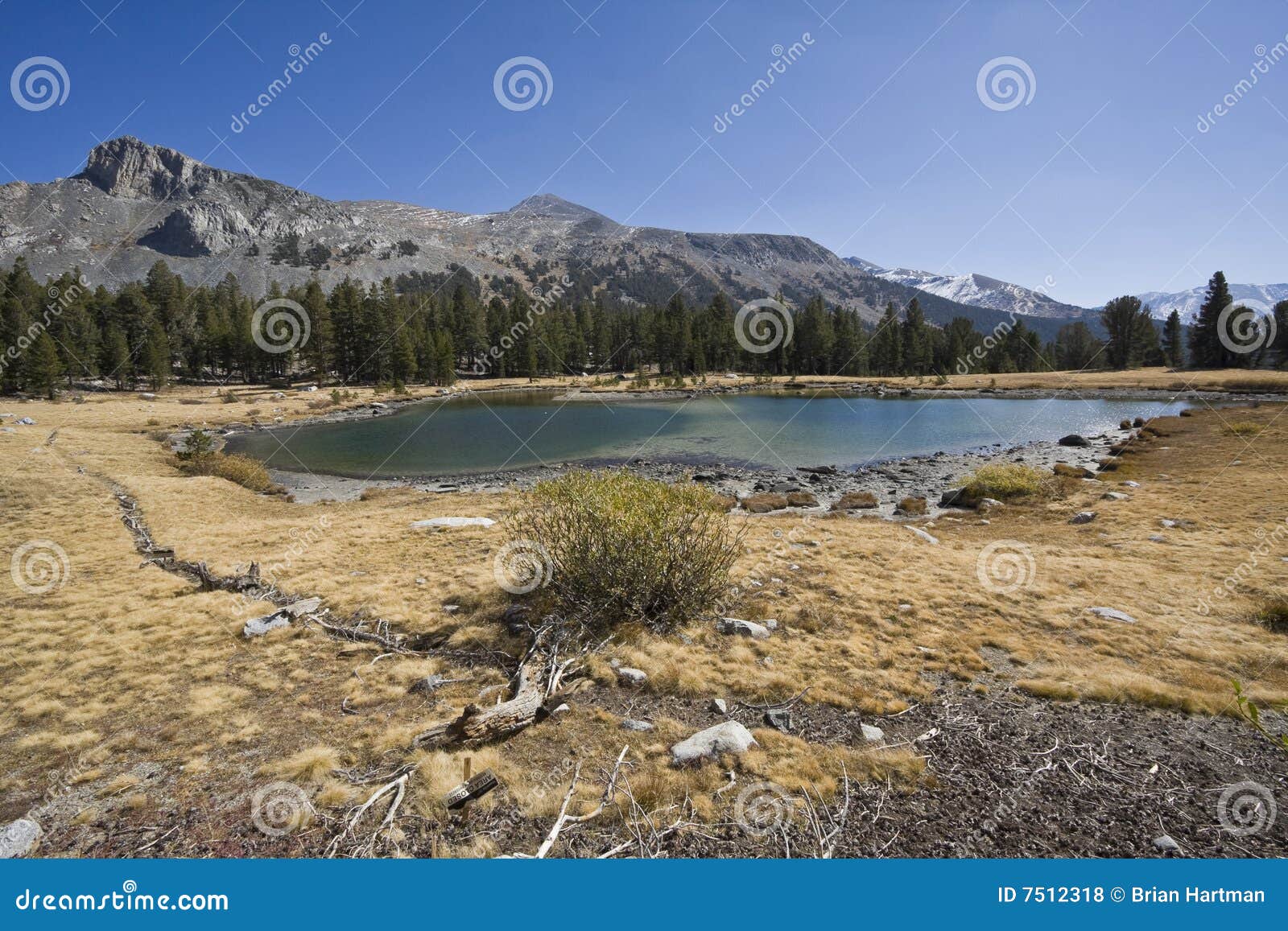 Mountian Water stock photo. Image of mountain, national - 7512318