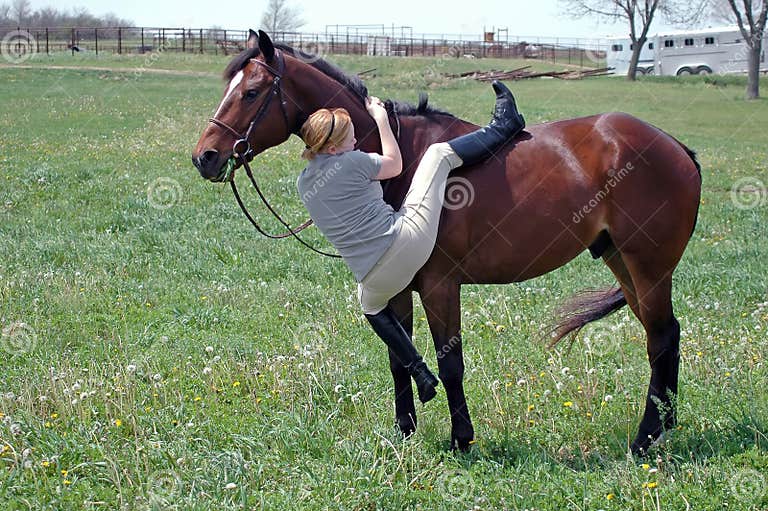 Mounting a horse stock image. Image of animal, field, jumping - 2379745