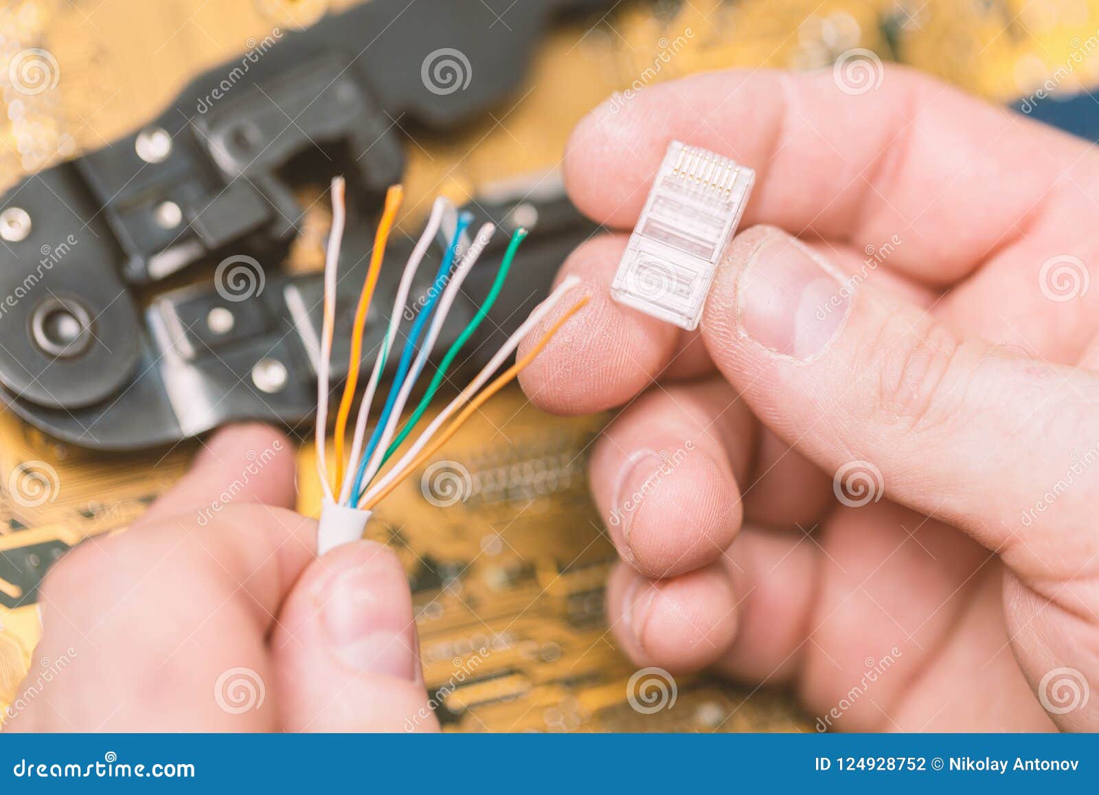 Mounting RJ-45 LAN Cable Twisted Pair Connector. Networking Information ...