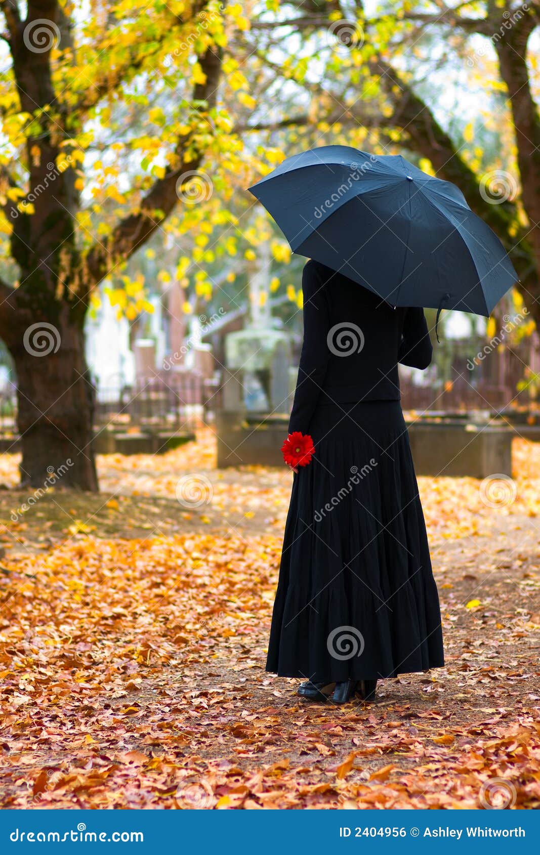 Mourning Woman stock photo. Image of avenue, fall, leaves - 2404956
