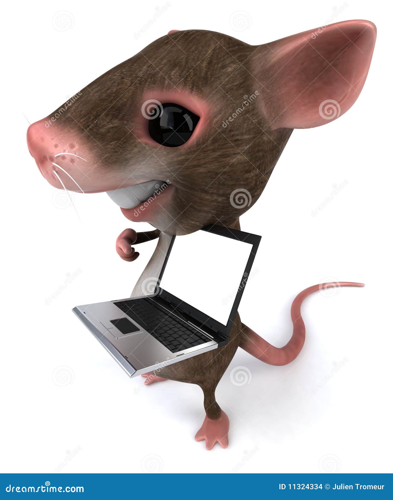 Mouse stock illustration. Illustration of cute, gerbil - 11324334