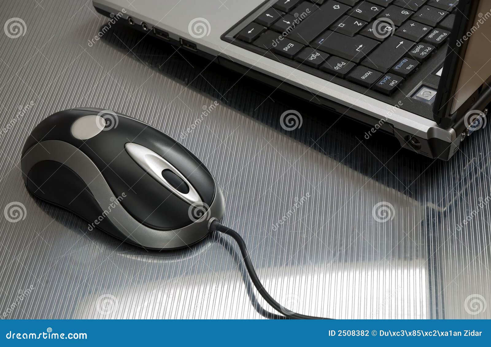 Mouse stock photo. Image of mouse, small, digital, reflection - 2508382