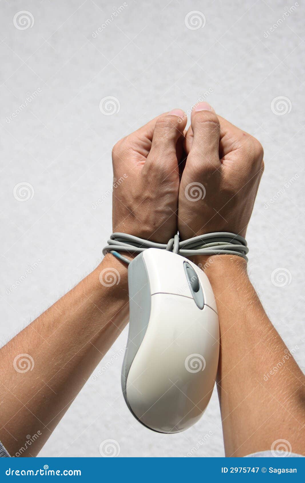 Mouse stock image. Image of computer, slavery, harmful - 2975747