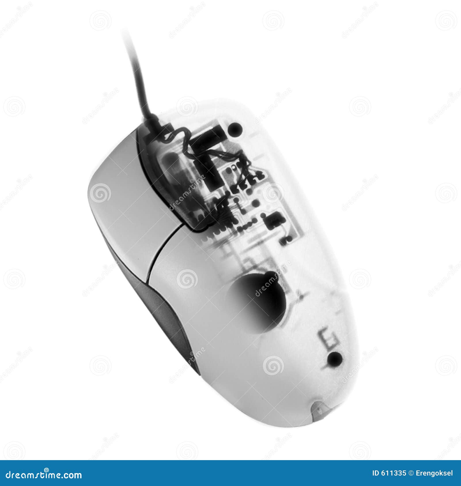 Mouse stock image. Image of inside, pointer, transparent - 611335