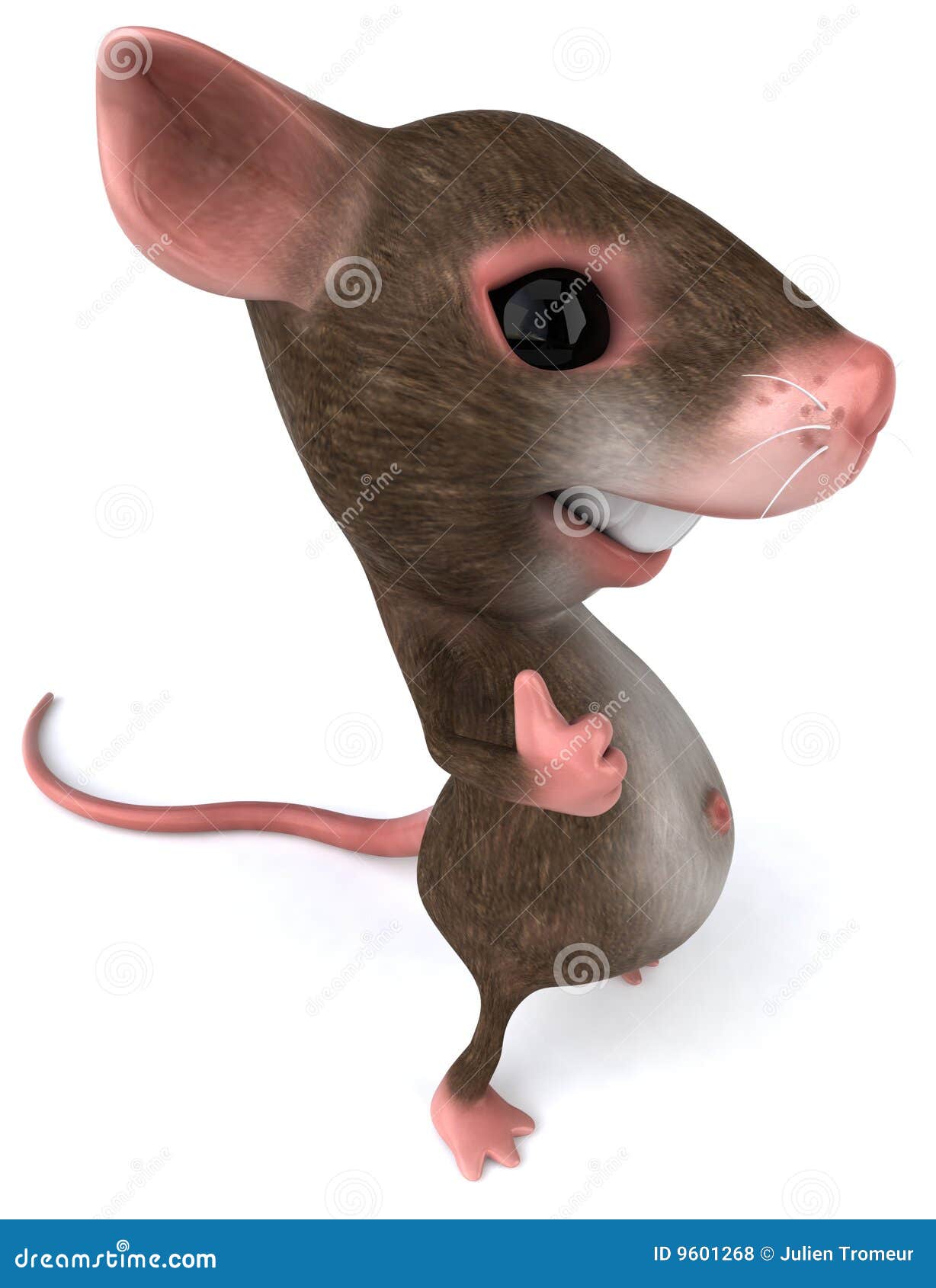Mouse stock illustration. Illustration of vermin, gerbil - 9601268