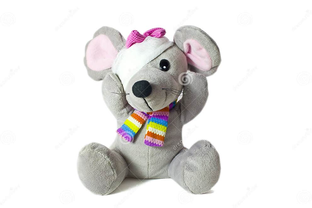 Mouse in bandages stock photo. Image of mouse, illness - 24437880