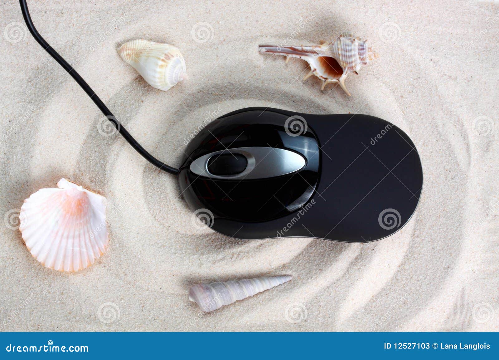 Mouse on beach sand stock image. Image of shell, holidays - 12527103
