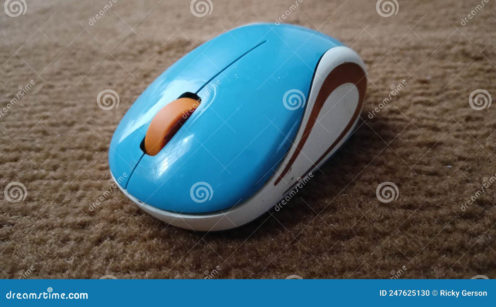 A mouse on the carpet stock photo. Image of hand, scrol - 247625130