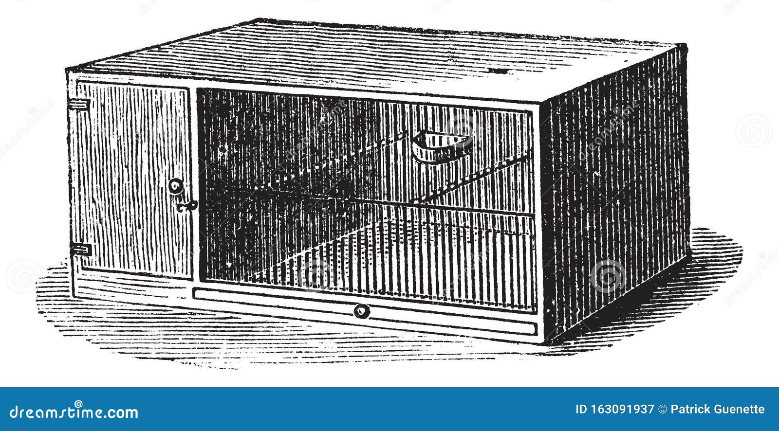 Mouse In The Cage Bares His Teeth Isolated On White Background. Vector ...